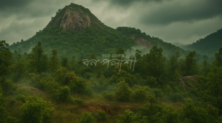 15 Best Places to Visit in Purulia During Monsoon - Bon Polashi Eco Hut